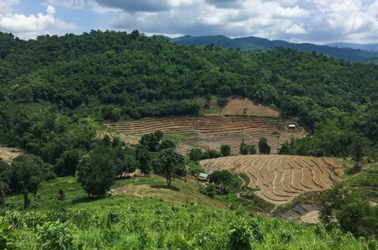 Trekking a Chiang Rai tour 2 o 3 giorni | Tutto Thailandia